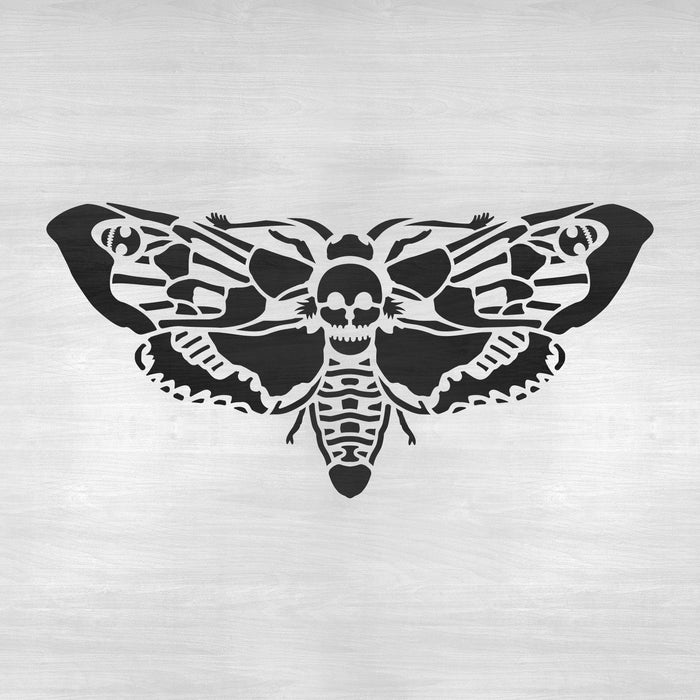 Death Head Moth Stencils - Stencil Revolution